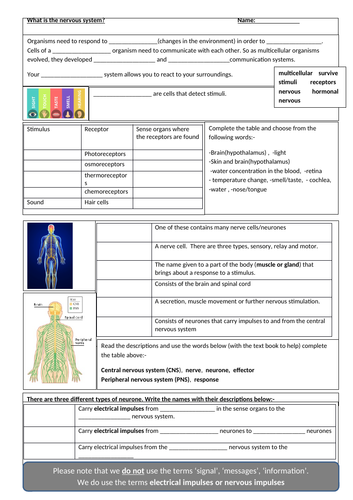 Topic 5 Paper 2 Homeostasis and Response | Teaching Resources
