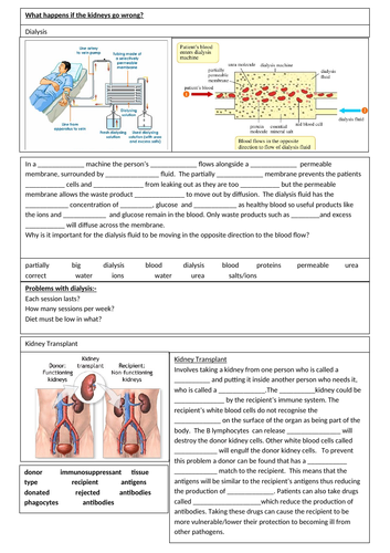 Topic 5 Kidney - Revision sheets on The Kidney and Osmoregulation AQA ...