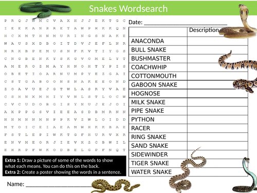 Snakes #2 Wordsearch Sheet Starter Activity Keywords Cover Animals ...