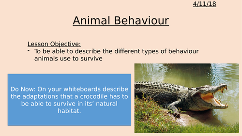Animal Behaviour | Teaching Resources