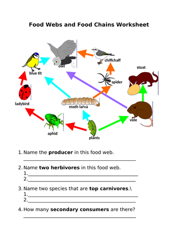 Food chains and food webs | Teaching Resources