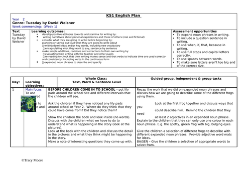 Tuesday by David Weisner Year Two English plan for 9 day | Teaching ...