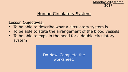 Human Circulatory System | Teaching Resources