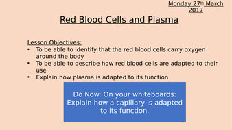 Red Blood Cells and Plasma | Teaching Resources