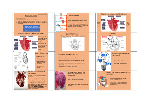 The Human Heart | Teaching Resources