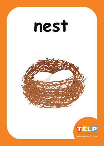 PHONICS 1B - FLASHCARDS | Teaching Resources