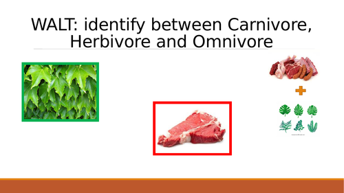 Dinosaur Science Investigation - Herbivore, Carnivore, Omnivore - Plan ...