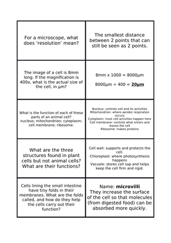 Edexcel Biology GCSE (9 - 1) flash cards | Teaching Resources