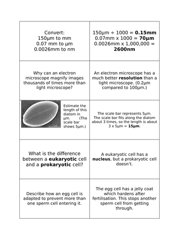 Edexcel Biology GCSE (9 - 1) flash cards | Teaching Resources