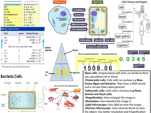 Cells and Cell Transport Revision MAT and Questions MAT | Teaching ...