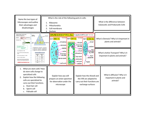 Cells and Cell Transport Revision MAT and Questions MAT | Teaching ...