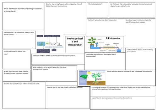 Photosynthesis and Transpiration Revision MAT and Question MAT ... Photosynthesis and Transpiration Revision MAT and Question MAT ...