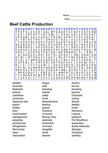 Beef cattle production word search | Teaching Resources