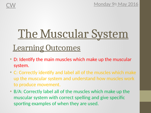 GCSE PE - Muscular System (Full lesson) | Teaching Resources