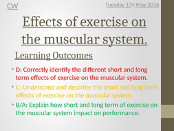 GCSE PE - Effects of exercise on muscular system | Teaching Resources