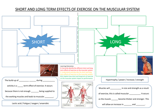 GCSE PE - Effects of exercise on muscular system | Teaching Resources