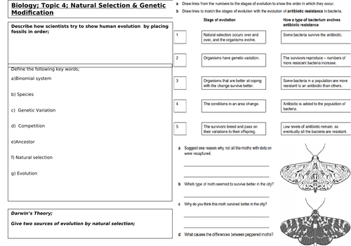 Edexcel GCSE (9-1) Combined Science Biology Revision Summary Worksheets ...