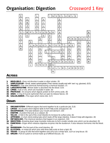 B2(D): Digestion Glossary and 2 Crosswords (AQA 9-1 GCSE Science ...
