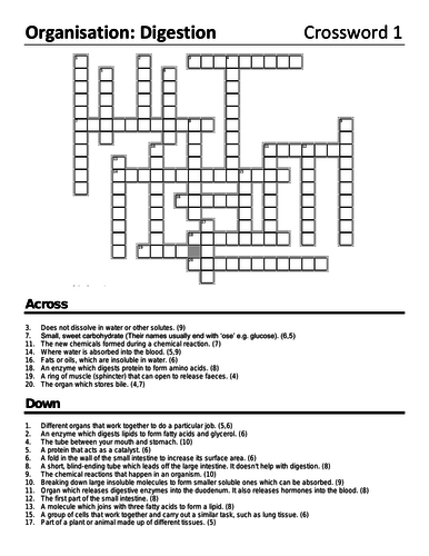 B2(D): Digestion Glossary and 2 Crosswords (AQA 9-1 GCSE Science ...