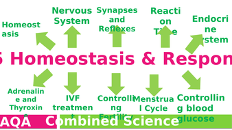 AQA B5 Homeostasis Revision | Teaching Resources
