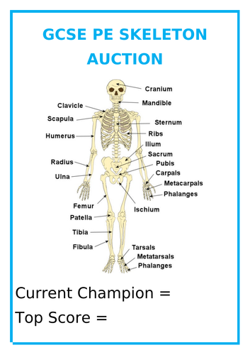 Skeleton Auction Poster - GCSE PE | Teaching Resources