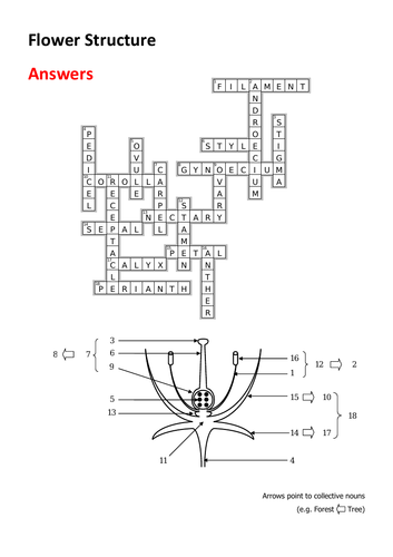 Flower structure | Teaching Resources