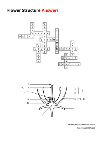 Flower structure | Teaching Resources