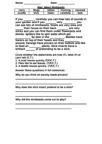 Mad about Minibeasts planning and resources KS1 | Teaching Resources