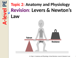 A-level PE: Levers & Newton's Revision by simisterlucy | Teaching Resources
