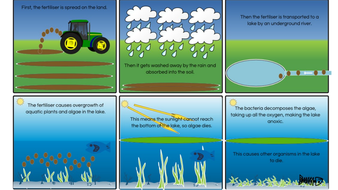 Full eutrophication lesson incluging: pp; activities; assessment ...