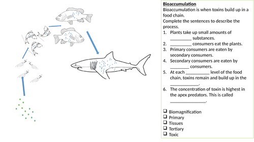 Bioaccumulation gap fill | Teaching Resources