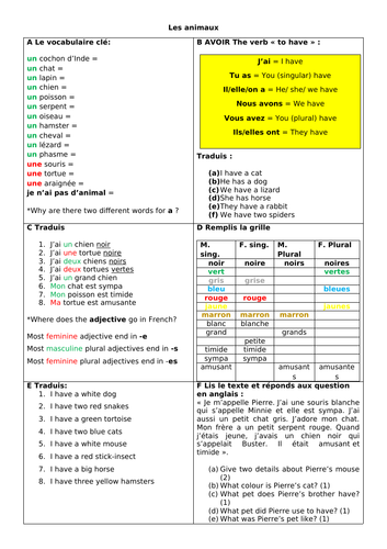 French KS3 pets: les animaux (vocabulary, translation and adjective ...