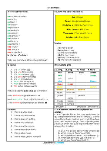 French KS3 pets: les animaux (vocabulary, translation and adjective ...
