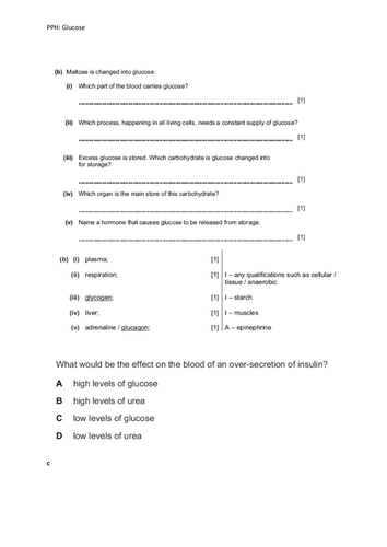 blood sugar and diabetes new spec | Teaching Resources