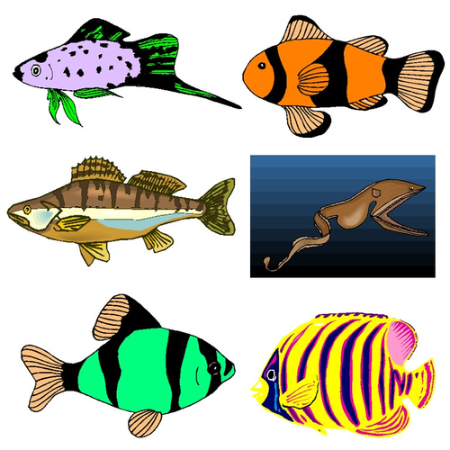 Aquatic Animals (Fi-Gl) Clip Art - Commercial Use | Teaching Resources