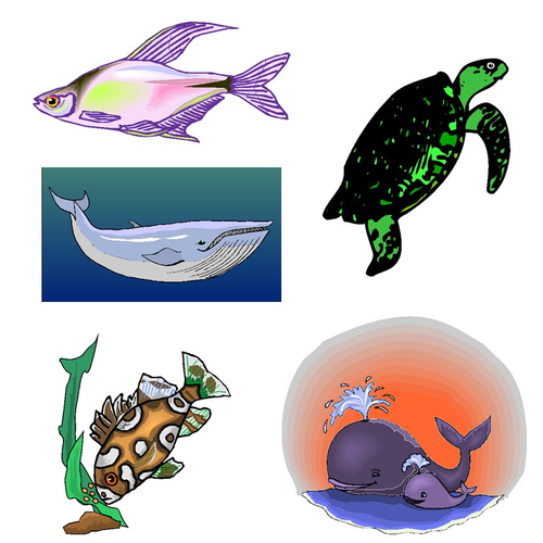 Aquatic Animals (Se-Z) Clip Art - Commercial Use | Teaching Resources