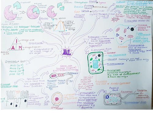 Biology Paper 1 Revision Mindmaps for Edexcel Separate Biology | Teaching Resources