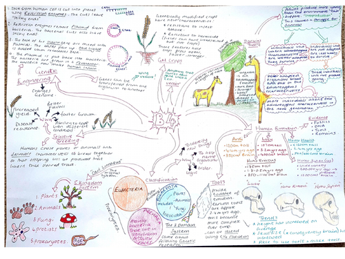 Edexcel Combined Science BiologyPaper 1 MindMaps | Teaching Resources
