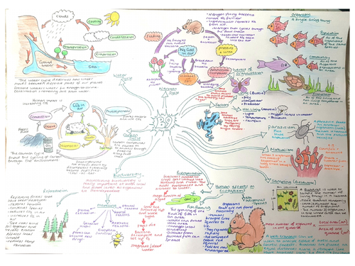 Revision MindMaps. Edexcel Combined Biology | Teaching Resources