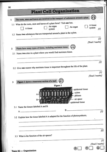 Plant cells and tissues GCSE new spec | Teaching Resources