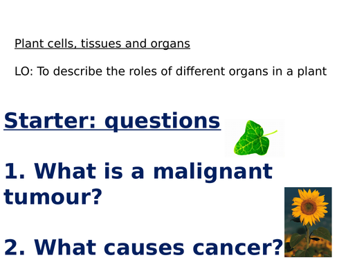 Plant organs GCSE new spec | Teaching Resources