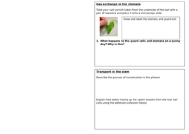 transpiration GCSE lesson new spec | Teaching Resources