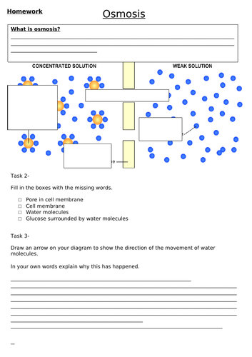 Osmosis whole lesson GCSE new spec | Teaching Resources