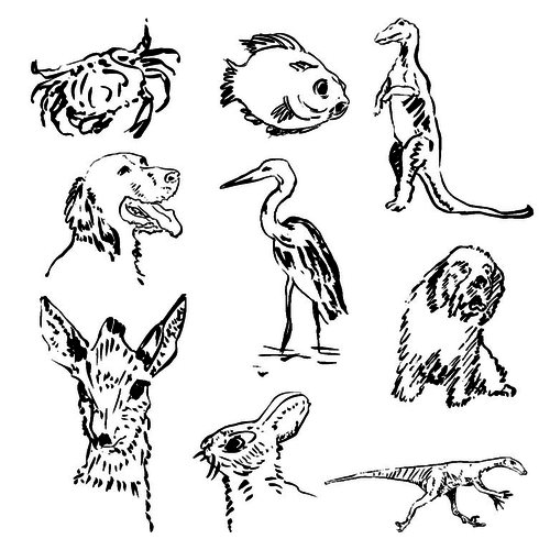 Animal Clip Art - Hand Drawn - Black and White - Commercial Use ...