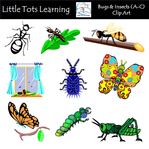 Bugs & Insects Clip Art (A-C) - Commercial Use | Teaching Resources