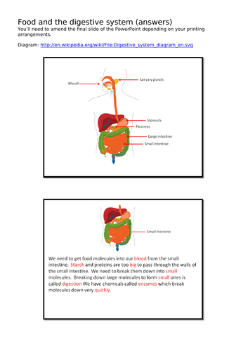 GCSE Digestion - complete the powerpoint activity | Teaching Resources