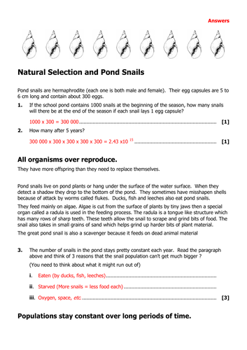 3 Natural Selection worksheets (Snails, Giraffes, Moths) GCSE ...