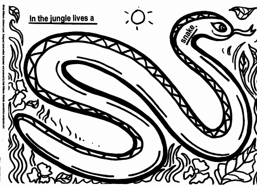 Jungles & Snakes Picture-Poem Frames (4) | Teaching Resources
