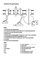 Oxidative phosphorylation (A-level Biology) | Teaching Resources