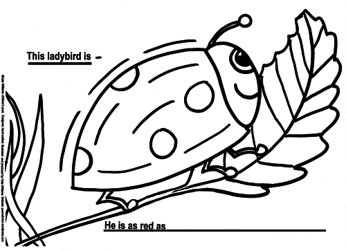 Ladybird Picture Poem Frame, Early Yrs/Yr1 + Guidance Notes | Teaching ...